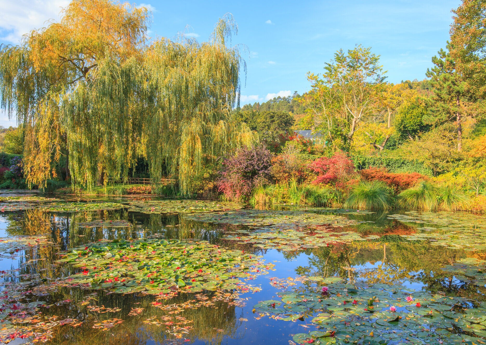 The 6 Most Beautiful Luxury Gardens in France: Versailles to Provence
